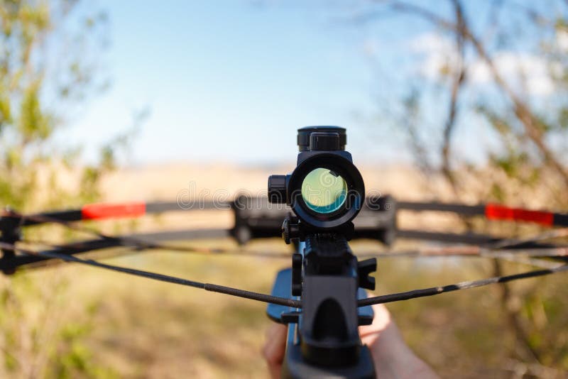 Optical Sight Crossbow Aiming from the First Person on the Background ...