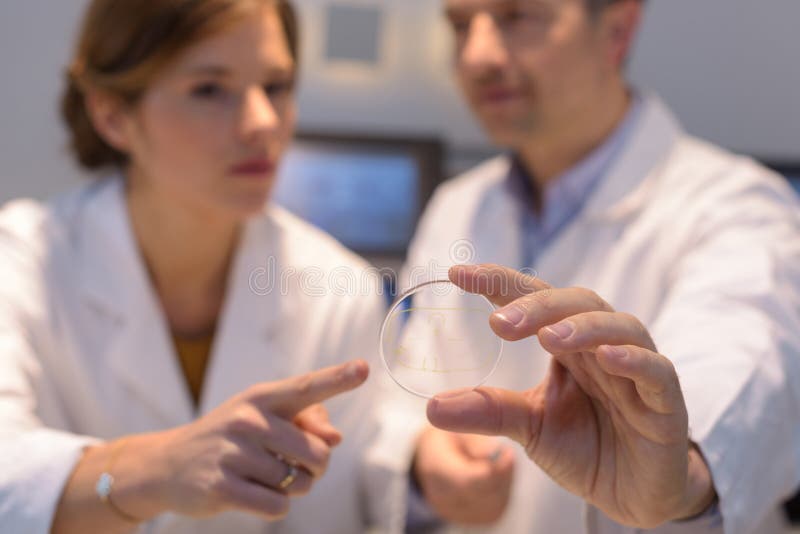 Opticians Working in Laboratory Stock Image - Image of laboratory ...