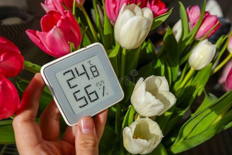 Optimal Temperature and Humidity for Storing Flowers. Thermometer in ... Optimal Temperature and Humidity for Storing Flowers. Thermometer in ...
