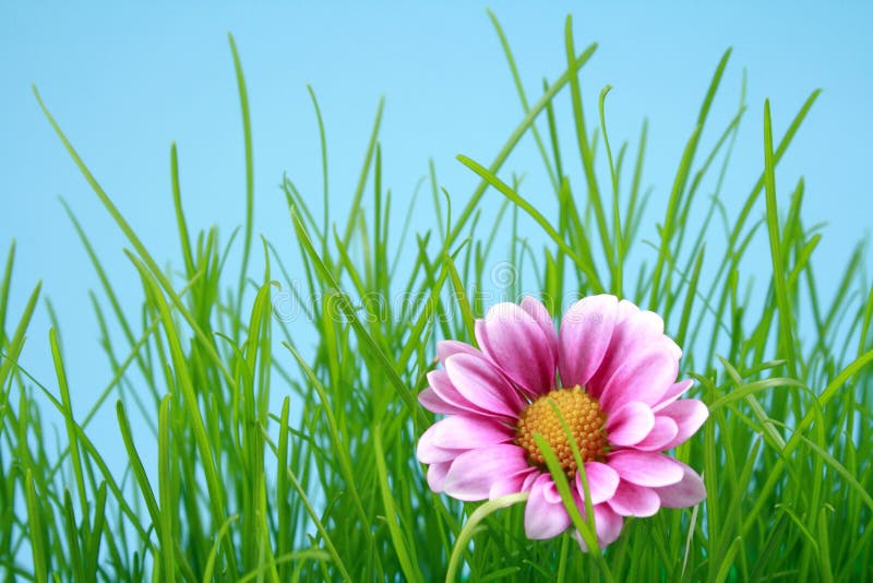 Optimistic stock image. Image of landscape, nature, spring - 1935391