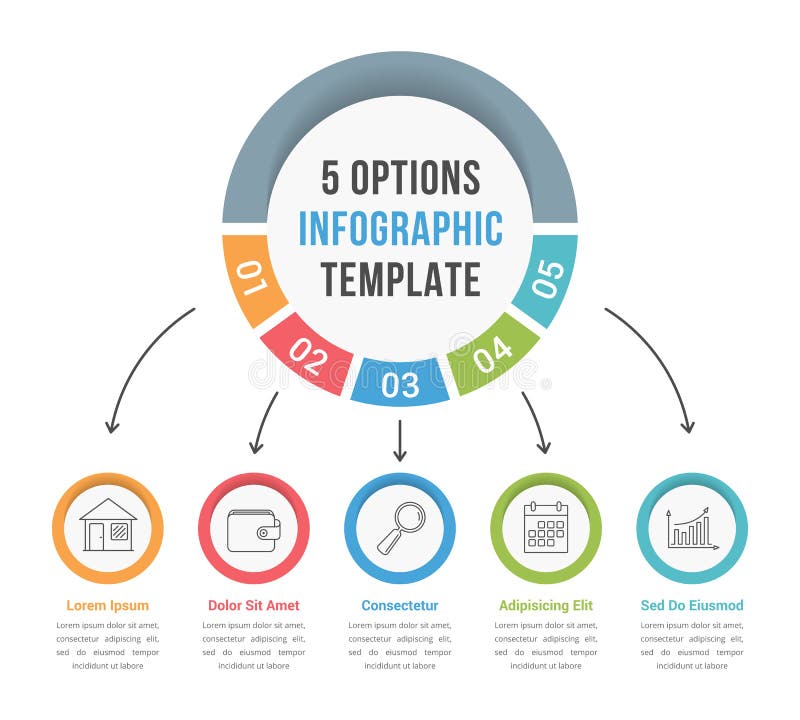 5 Options Infographic Template Stock Vector - Illustration of diagram ...