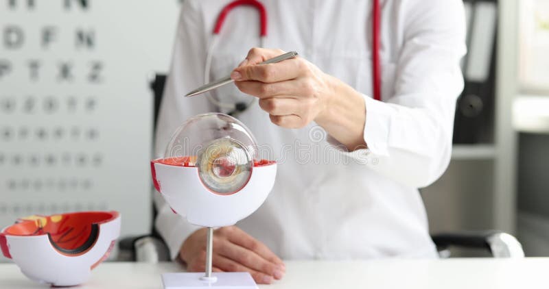 Optometrist Shows Structure of Eye on Model Stock Footage - Video of ...