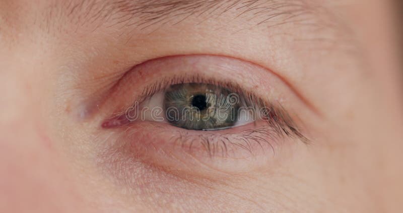 Optometry, Eye and Person with Sight for Vision on Future with Memory ...