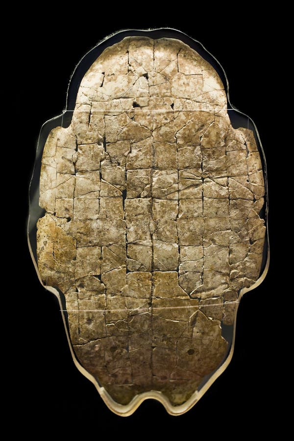 Oracle-bone inscription stock image. Image of antique - 14182733