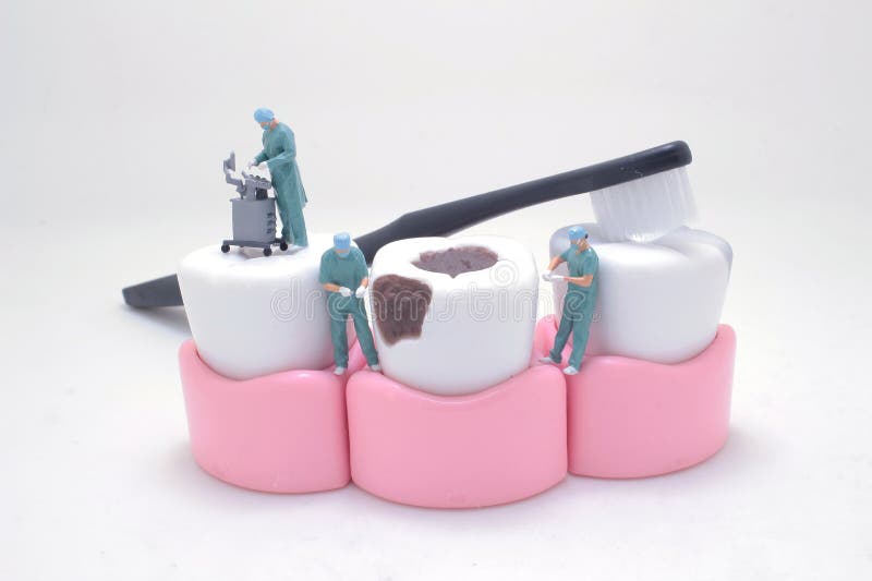 Oral Hygiene, Artificial Model Tooth, Brushing Teeth Stock Image ...