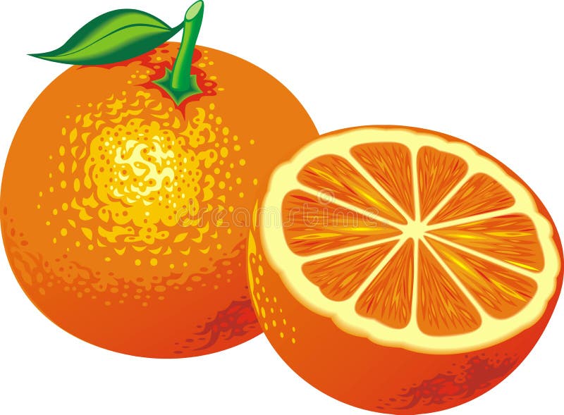 Chinese New Year Basket of Oranges Illustration Stock Vector ...