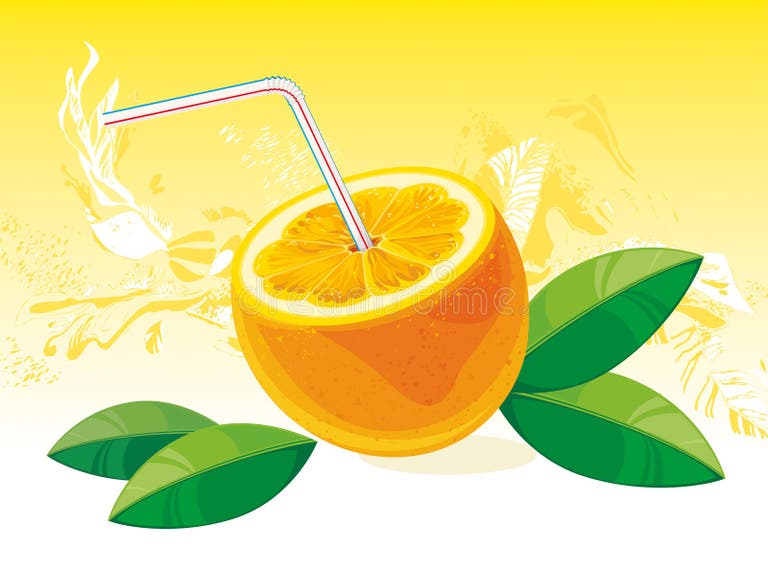 Zest Orange Illustration Stock Illustrations – 2,491 Zest Orange ...