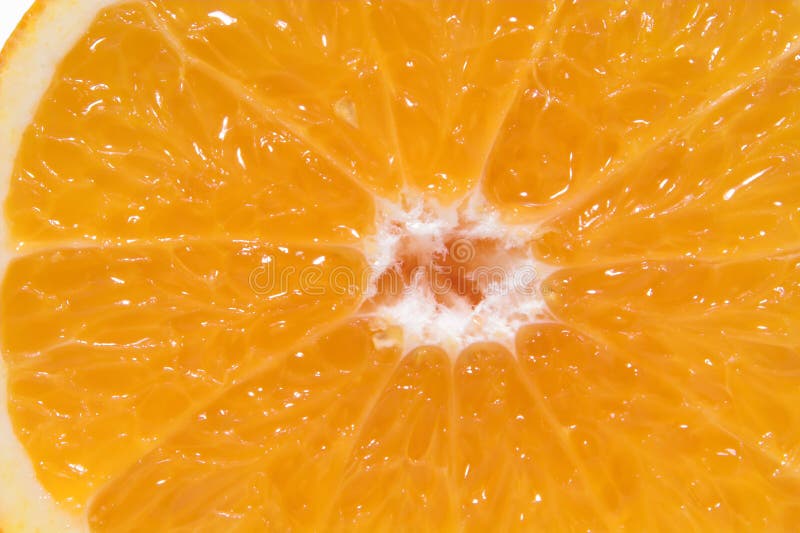 Orange stock image. Image of segment, dissect, cross, healthy - 2408967