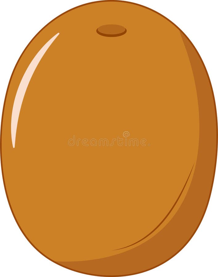 Sapodilla Vector Stock Illustrations – 387 Sapodilla Vector Stock ...