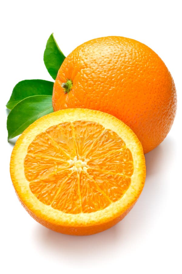 Orange stock photo. Image of grapefruit, isolated, chenpi - 25313940