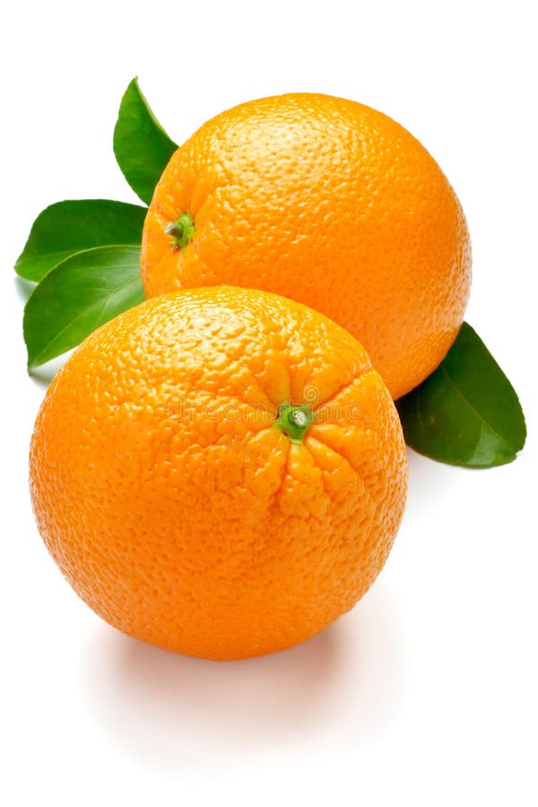 Orange stock photo. Image of grapefruit, isolated, chenpi - 25313940
