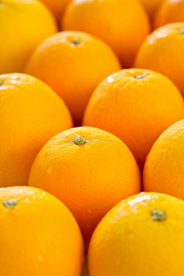 Orange stock image. Image of calories, natural, colorful - 26560381