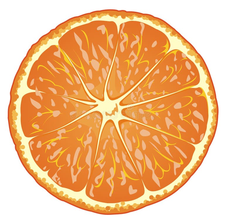 Orange Realistic Vector Illustration Stock Illustrations – 53,413 ...