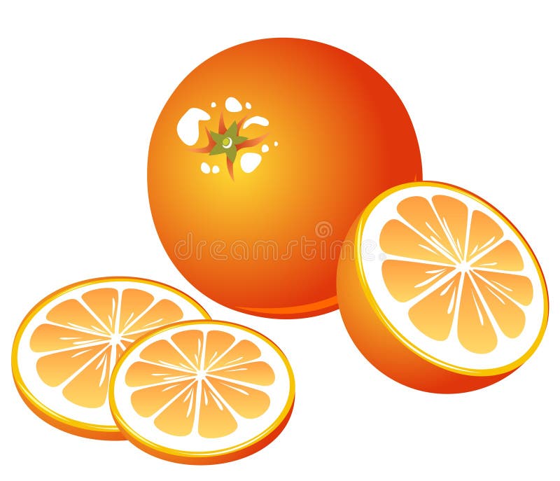 Orange, illustration stock vector. Illustration of freshness - 25966995