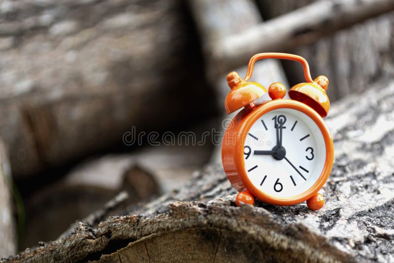 Orange Alarm Clock Isolated on Tree Trunk. the Clock Set at 9 O Clock ...