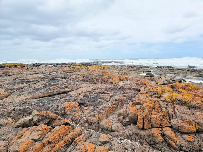 Orange Algae Covered Rocks at the Seashore on a Rock Platform. Stock ...