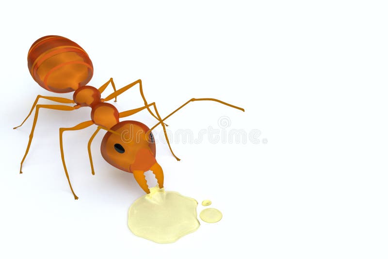 An Orange Ant is Eating the Syrup. Stock Illustration - Illustration of ...