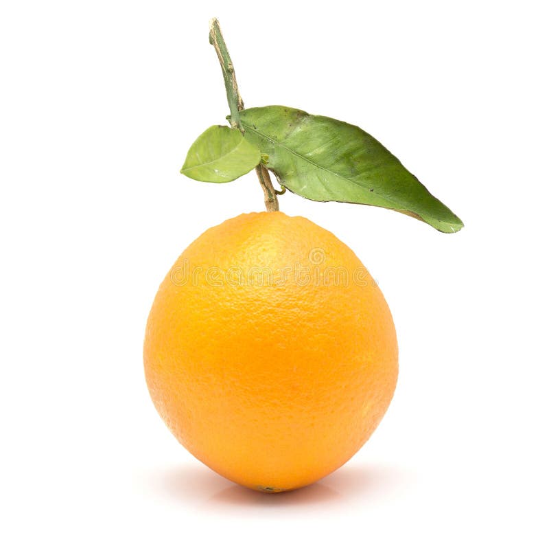 Appelsin Fresh Stock Photos - Free & Royalty-Free Stock Photos from ...