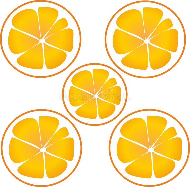 Five Oranges a Longitudinal Section on a Green Background Stock ...