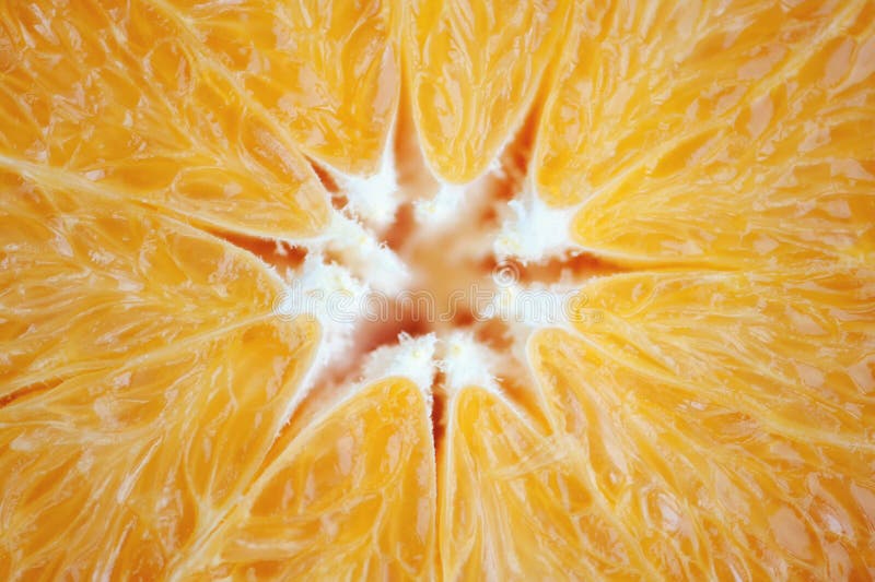 Orange Background from Slice of an Orange Fruit Texture Stock Image ...