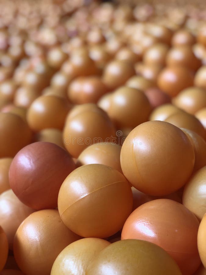 Orange balls stock photo. Image of playground, play - 262725568