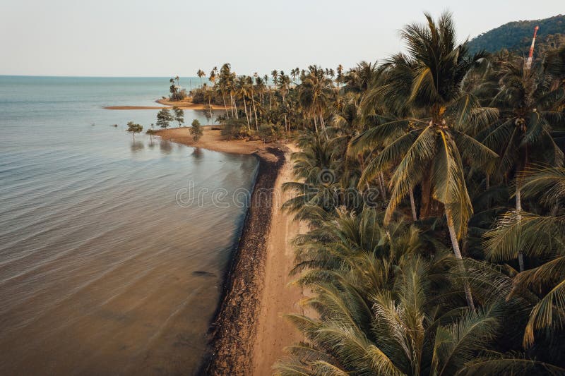 Orange Beach and Coconut Trees in the Evening Stock Image - Image of ...