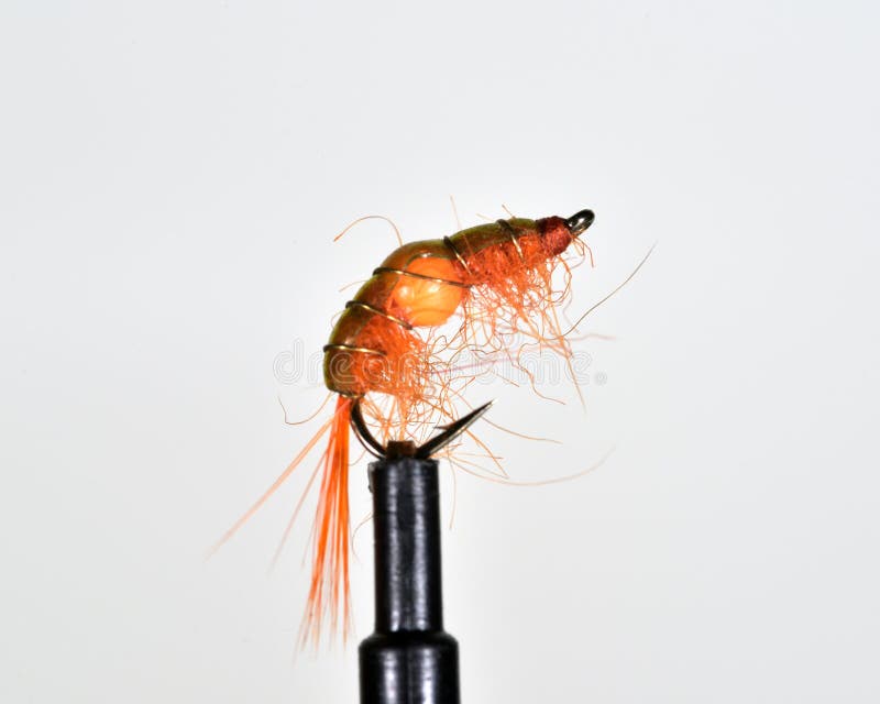 Orange Bead Shrimp Imitation Stock Image - Image of stone, imitation ...