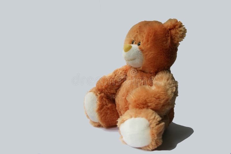 Sitting Sideways Teddy Bear Stock Photos - Free & Royalty-Free Stock ...