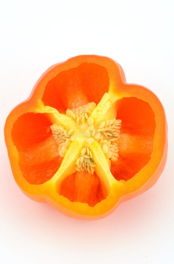 Orange Bell stock photo. Image of orange, chilli, fresh - 22535436
