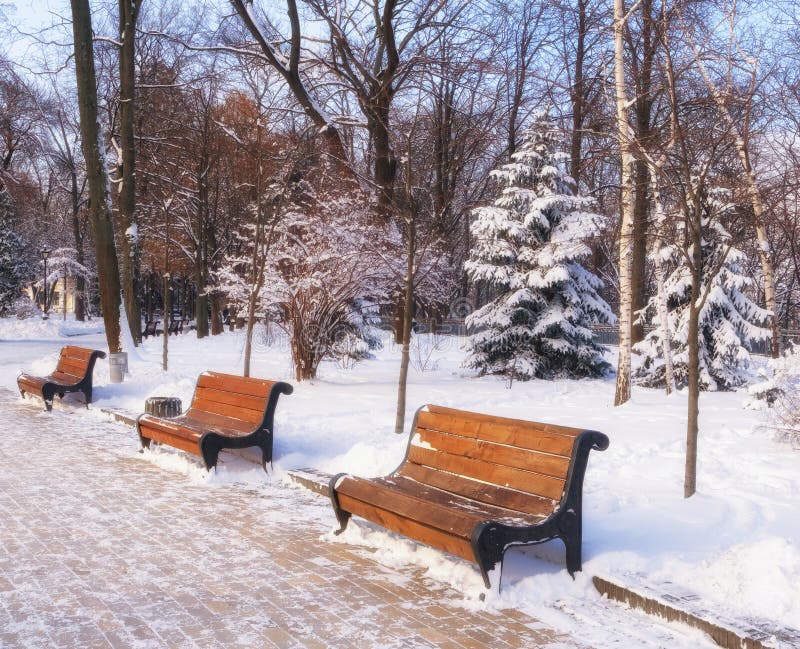 Orange Bench in the Park in the Snow in Winter Stock Image - Image of ...