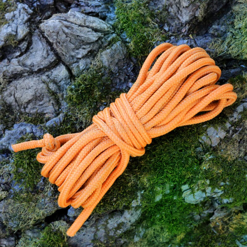 The orange rope knot stock image. Image of park, branch - 8203059