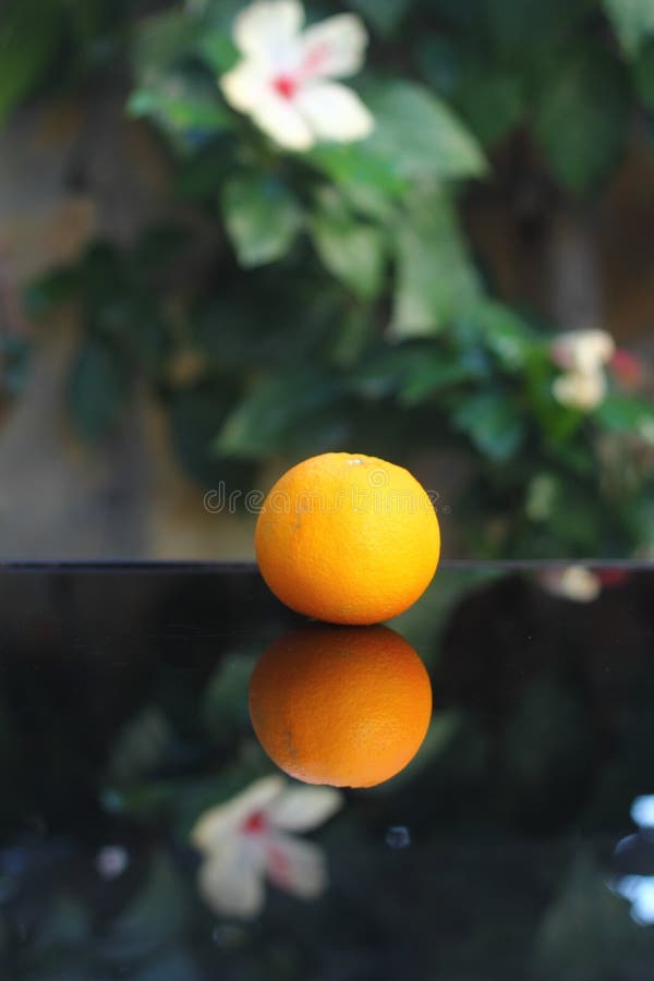Orange on Black Background. with Reflection. Stock Image - Image of ...