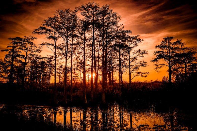 Orange and Black Sunset Swamp Stock Image - Image of dawn, boat: 216345635