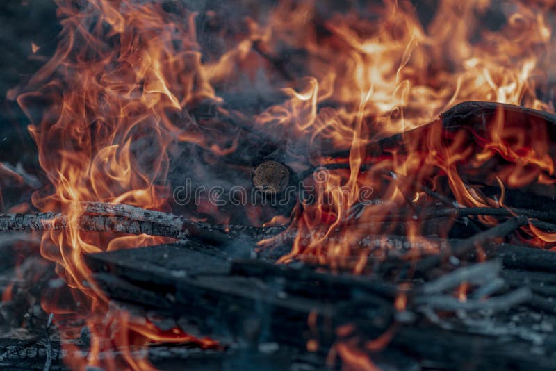 Orange and blue bonfire stock photo. Image of barbecue - 209090394