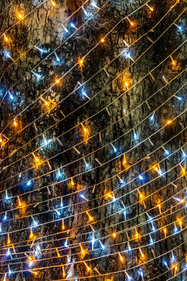 Orange and Blur Decorative Christmas Lights. Stock Image - Image of ...