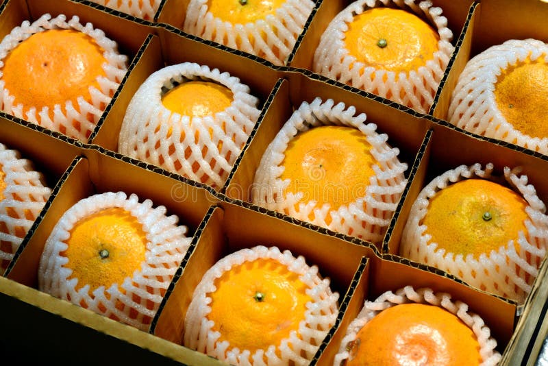 Orange in box stock photo. Image of foam, bushel, crates - 51106178