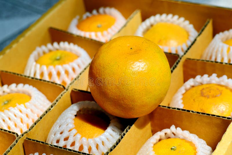 Orange in box stock image. Image of local, basket, genetic - 51106413