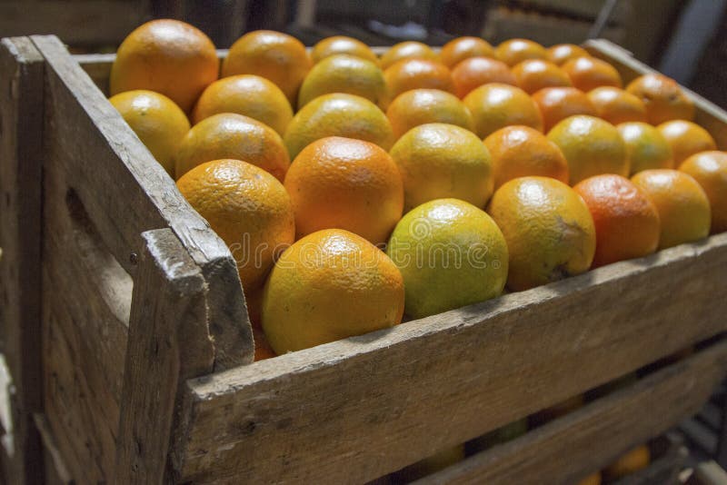 Orange box stock image. Image of vitamin, marketplace - 76260309