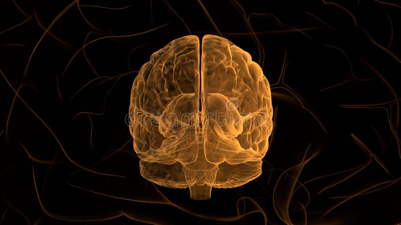 Orange Brain. Abstract Digital Human Brain. Neural Network Stock ...