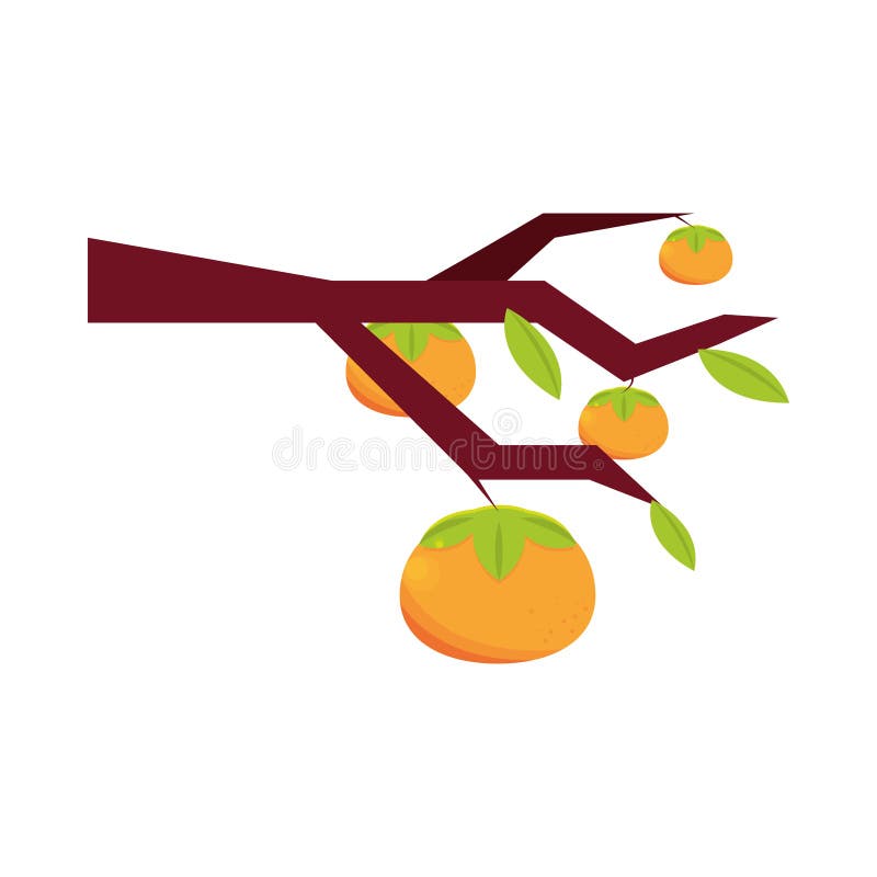 Orange branch tree stock vector. Illustration of tree - 227919185