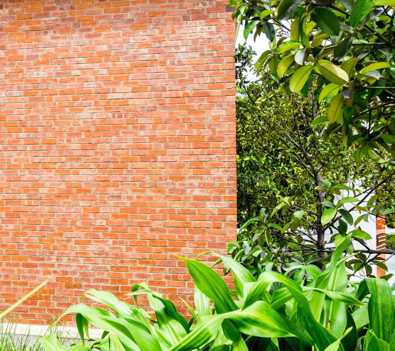 Orange Brick Wall with Tree at Park Stock Photo - Image of structure ...