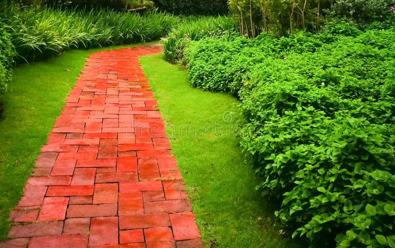 Orange Bricks Garden Path in Green Stock Photo - Image of bush, orange ...