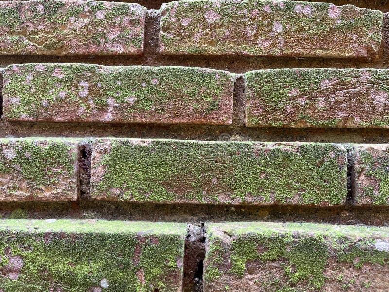 Overlapping Bricks Stock Photos - Free & Royalty-Free Stock Photos from ...