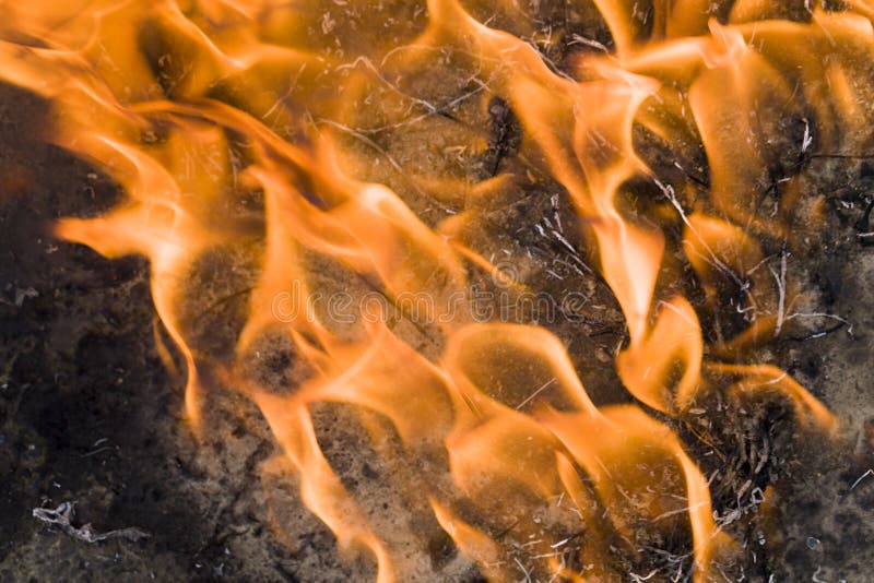 Orange hot flames stock image. Image of bush, flame - 223555465