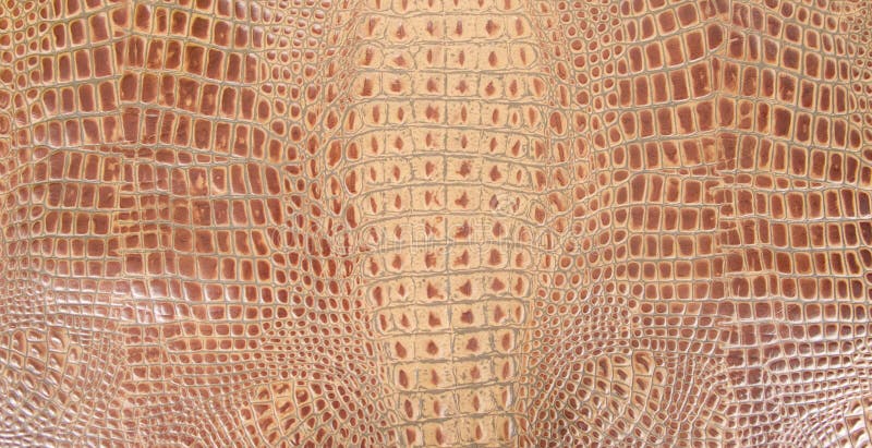 Orange Brown Embossed Gator Back Leather Texture Stock Photo - Image of ...