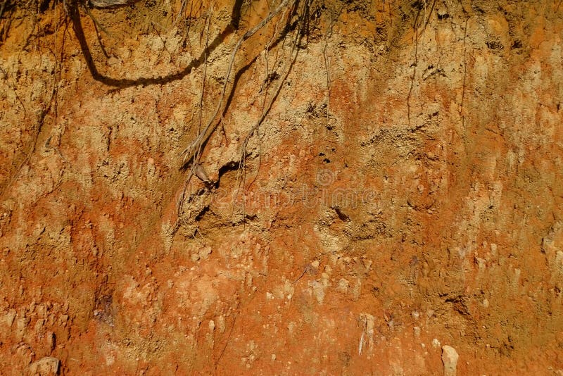 Orange Brown Soil Texture Background Stock Photo - Image of barren ...