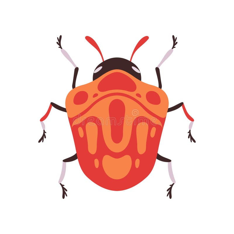 Orange Bug Insect Top View Flat Vector Illustration Stock Vector ...