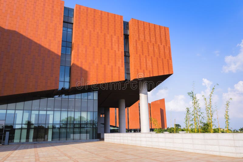 Orange tree stock photo. Image of drink, blossom, evergreen - 21993482