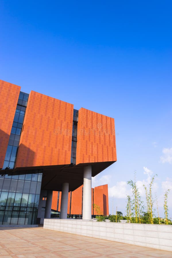 Orange tree stock photo. Image of drink, blossom, evergreen - 21993482