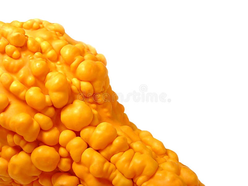 Orange Bumpy Gourd stock image. Image of bumpy, alien, fall - 277723